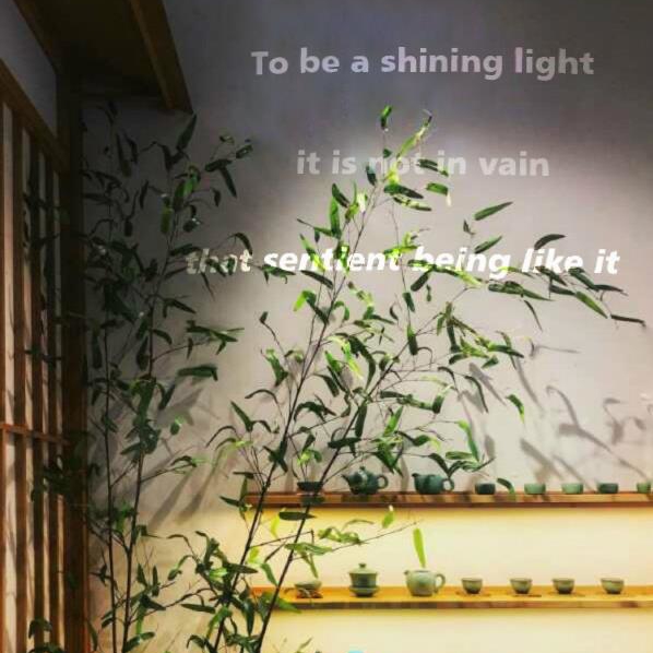 How to modify the font projected by the text projector? - Noparde logo ...